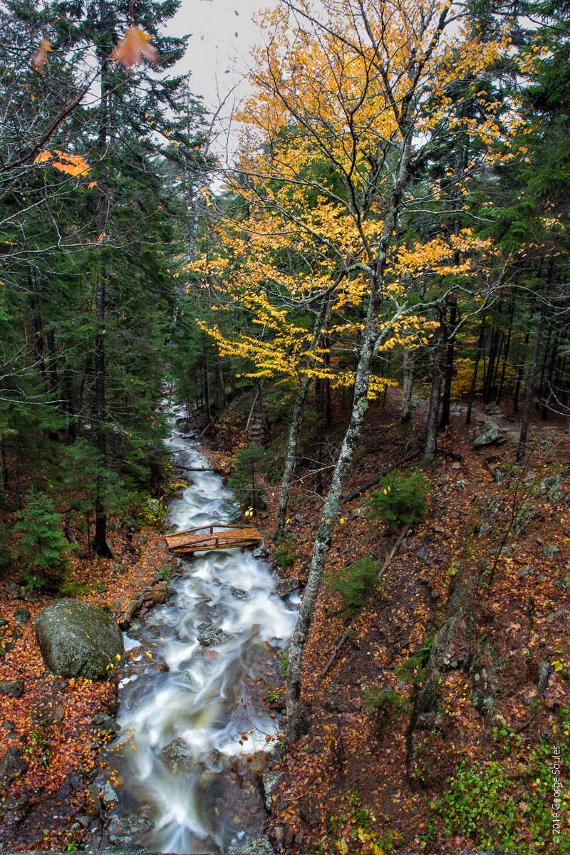 George Soules Photography » Hadlock Brook and Hemlock Bridge